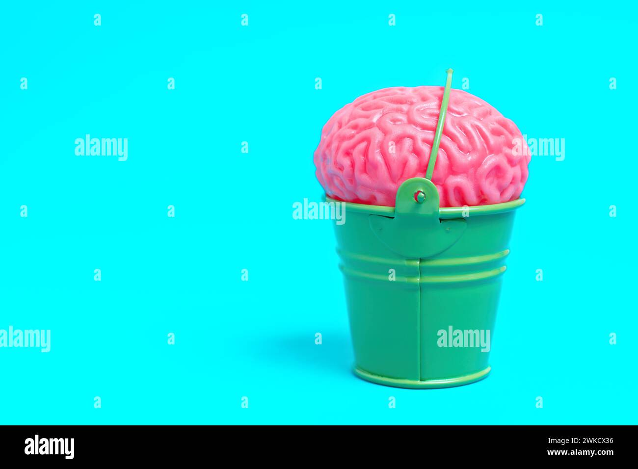 Human brain model placed in a green bucket isolated on blue background ...