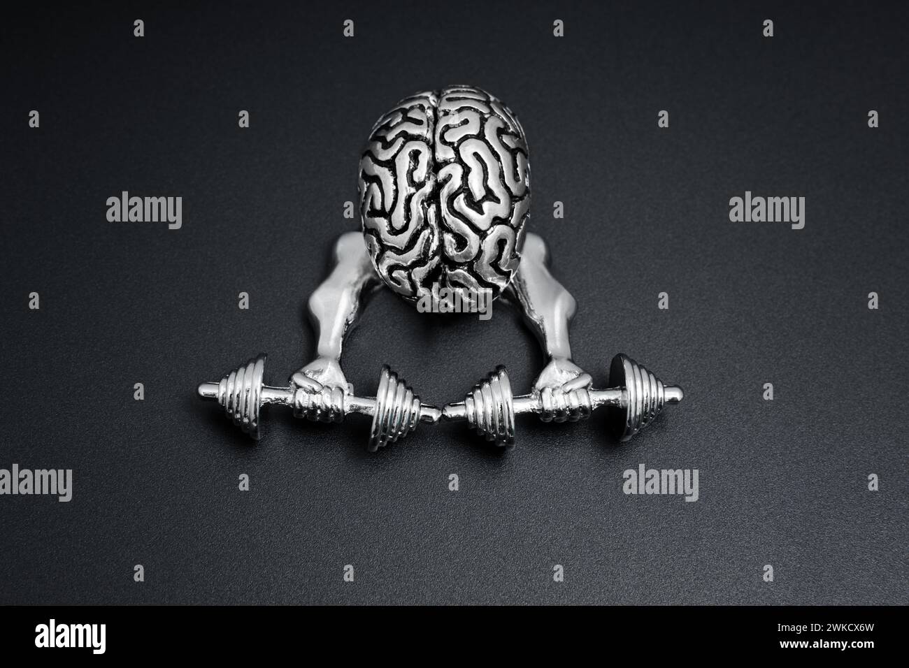 Close-up of a steel model of a human brain lifting heavy dumbbells with ...