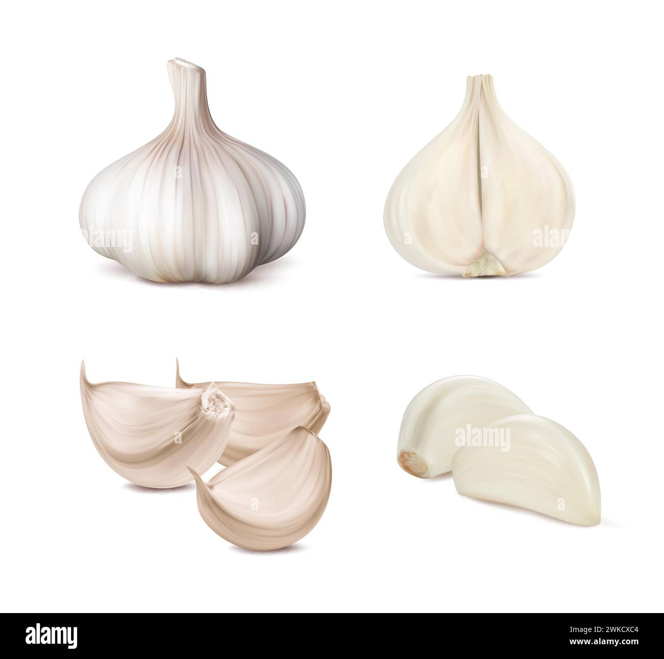Side view peeled garlic Cut Out Stock Images & Pictures - Alamy