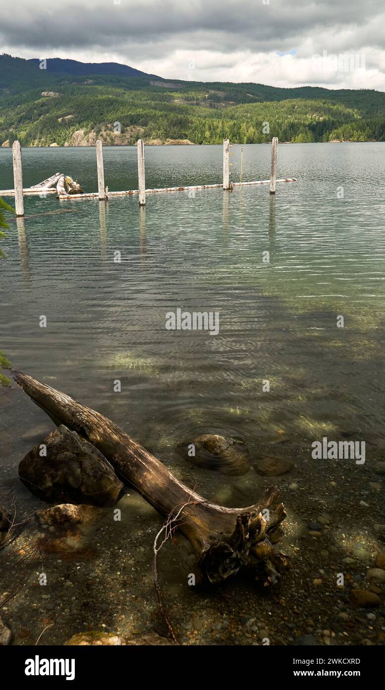 An old waterlogged tree trunk point the way to the remnants of an old ...
