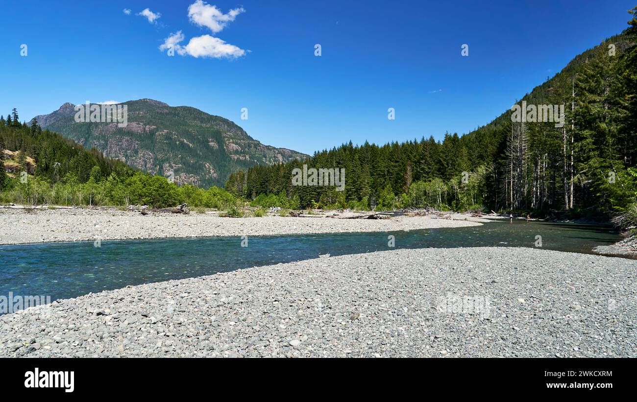 A stream running through a gravel river bed towards distant dense ...