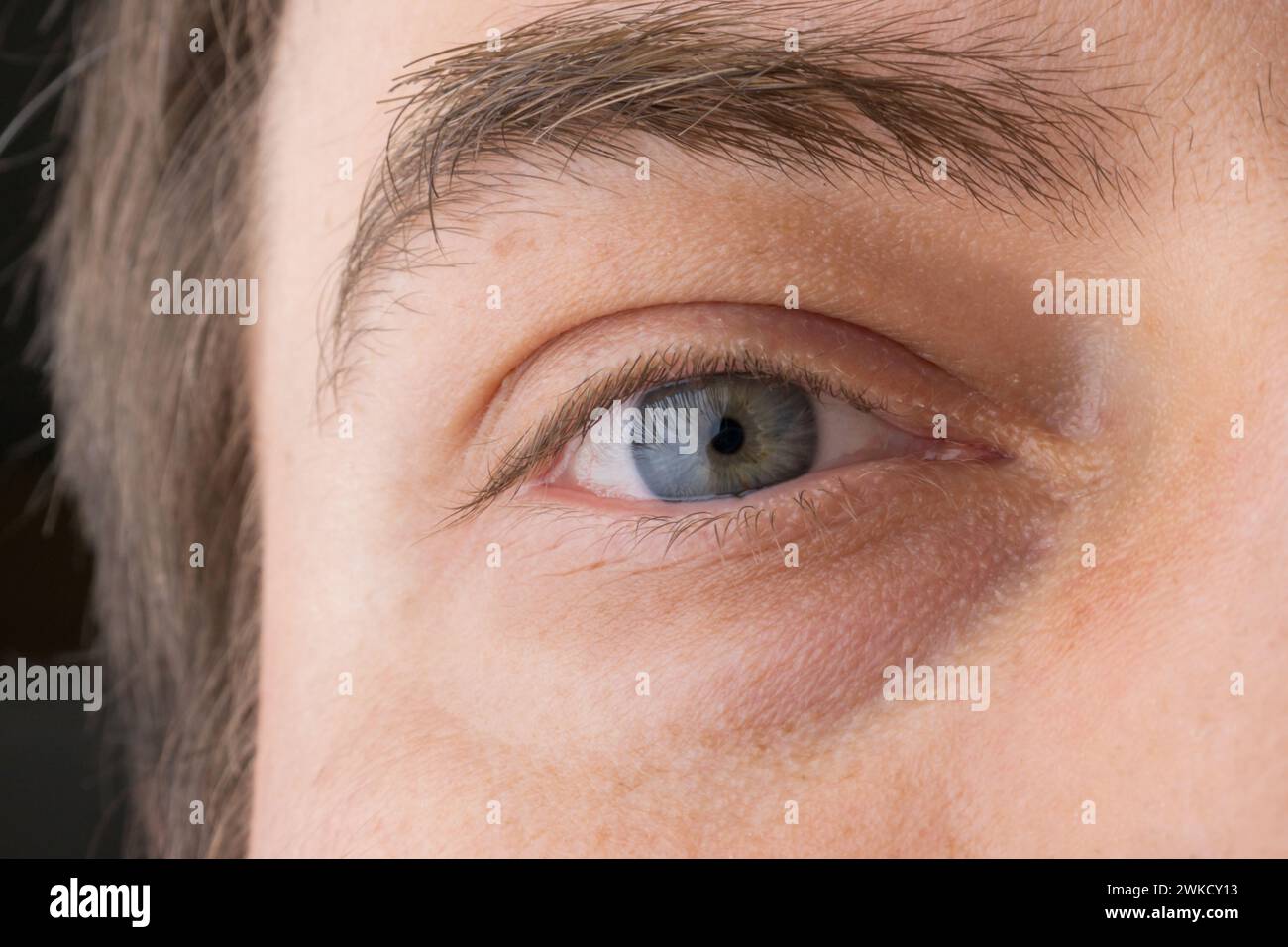 Caucasian male blue eye, close up studio shot, natural look, no makeup ...
