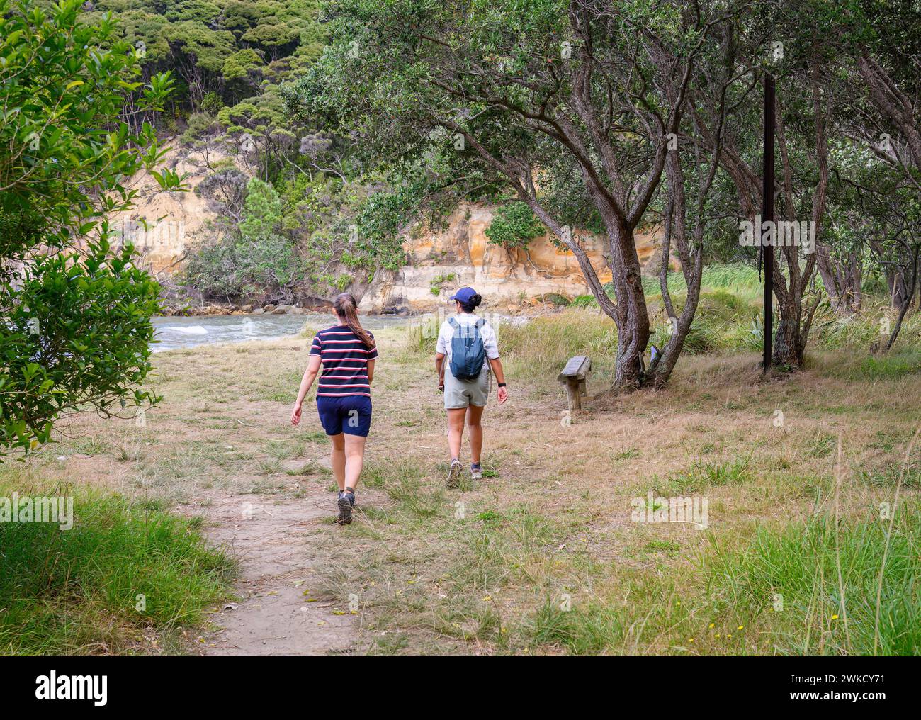 Two women walking at Kendall Bay in summer, Kauri Point Centennial Loop ...
