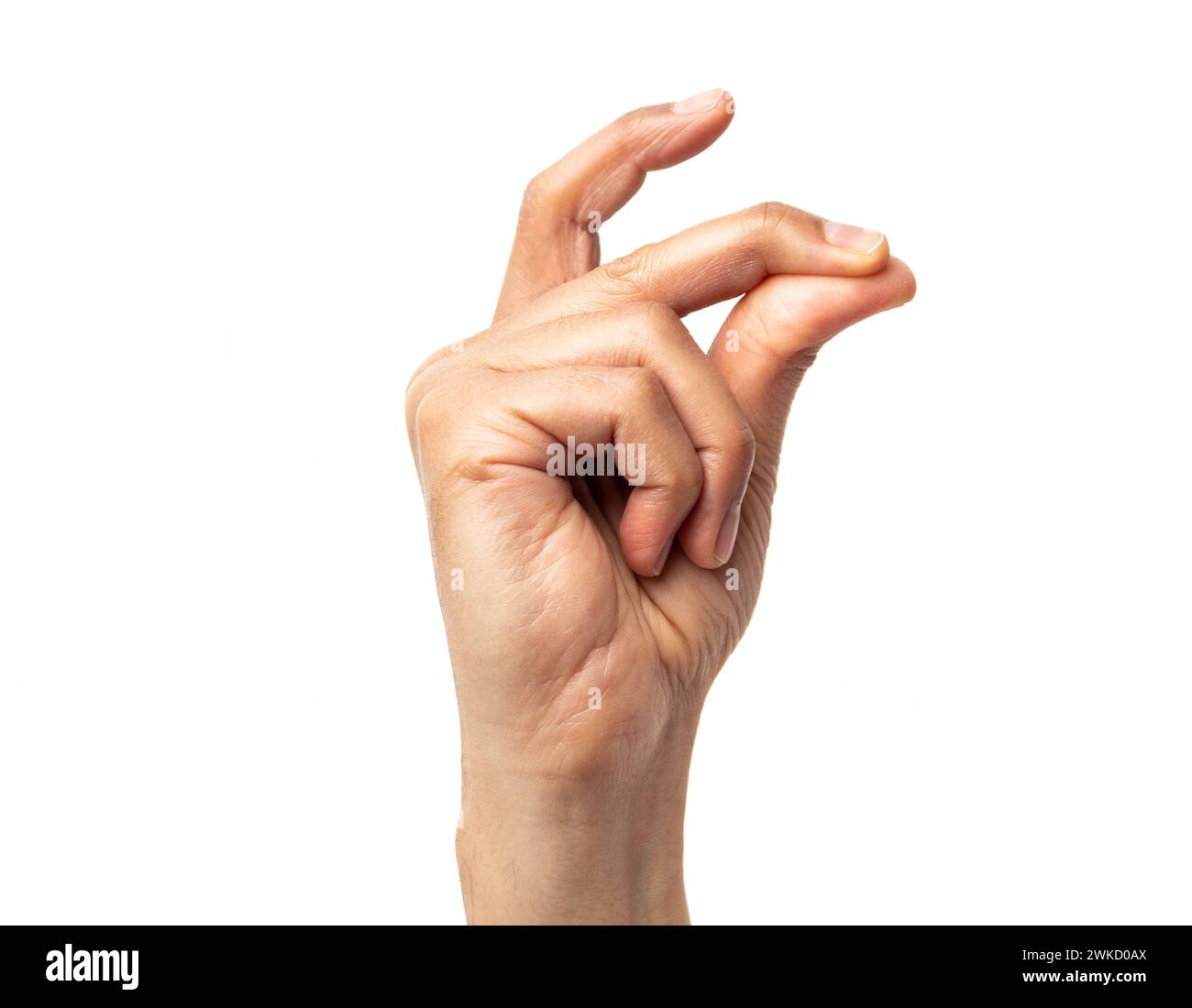 Snapping up hi-res stock photography and images - Alamy