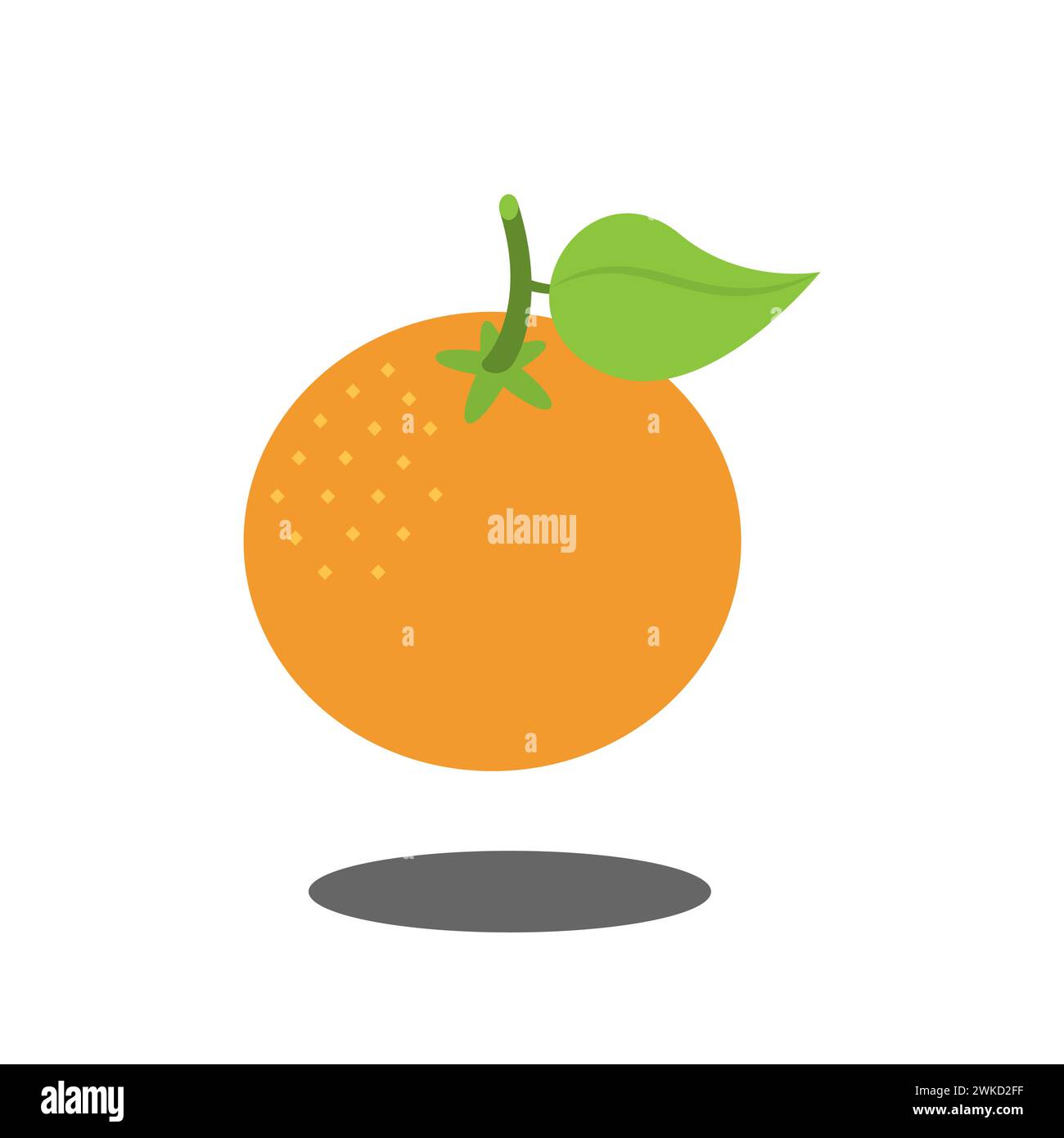 Vintage botanical illustration citrus Stock Vector Images - Alamy
