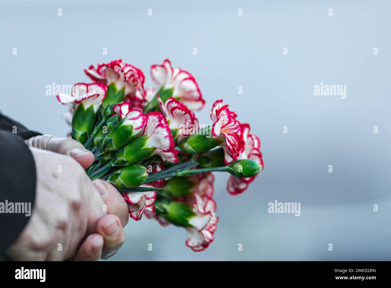A personholding a bouquet of flowers in hands Stock Photo - Alamy