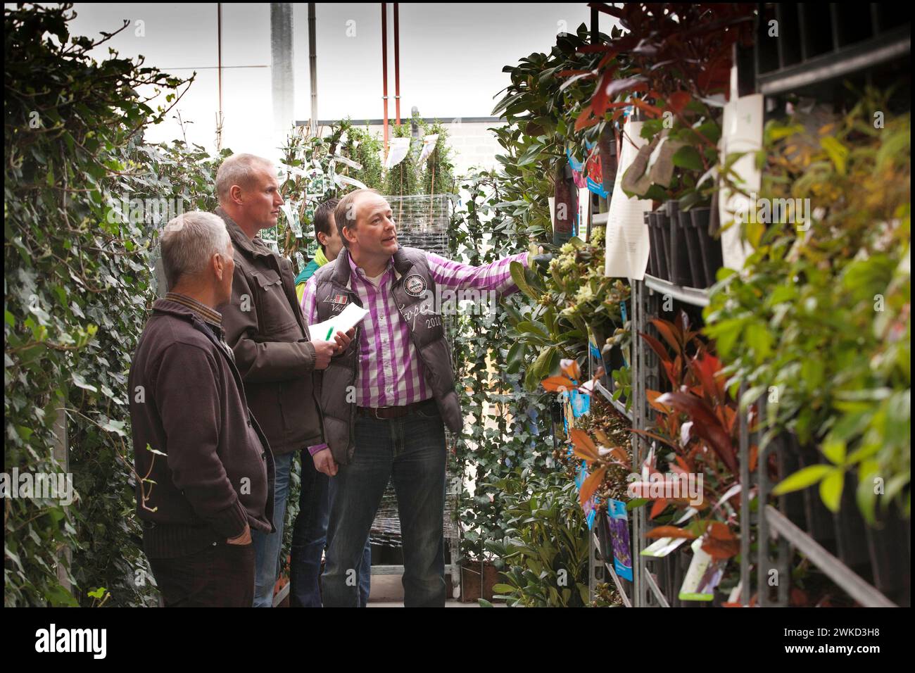 Flower auction Plantion in the East of the Netherlands where plants and ...