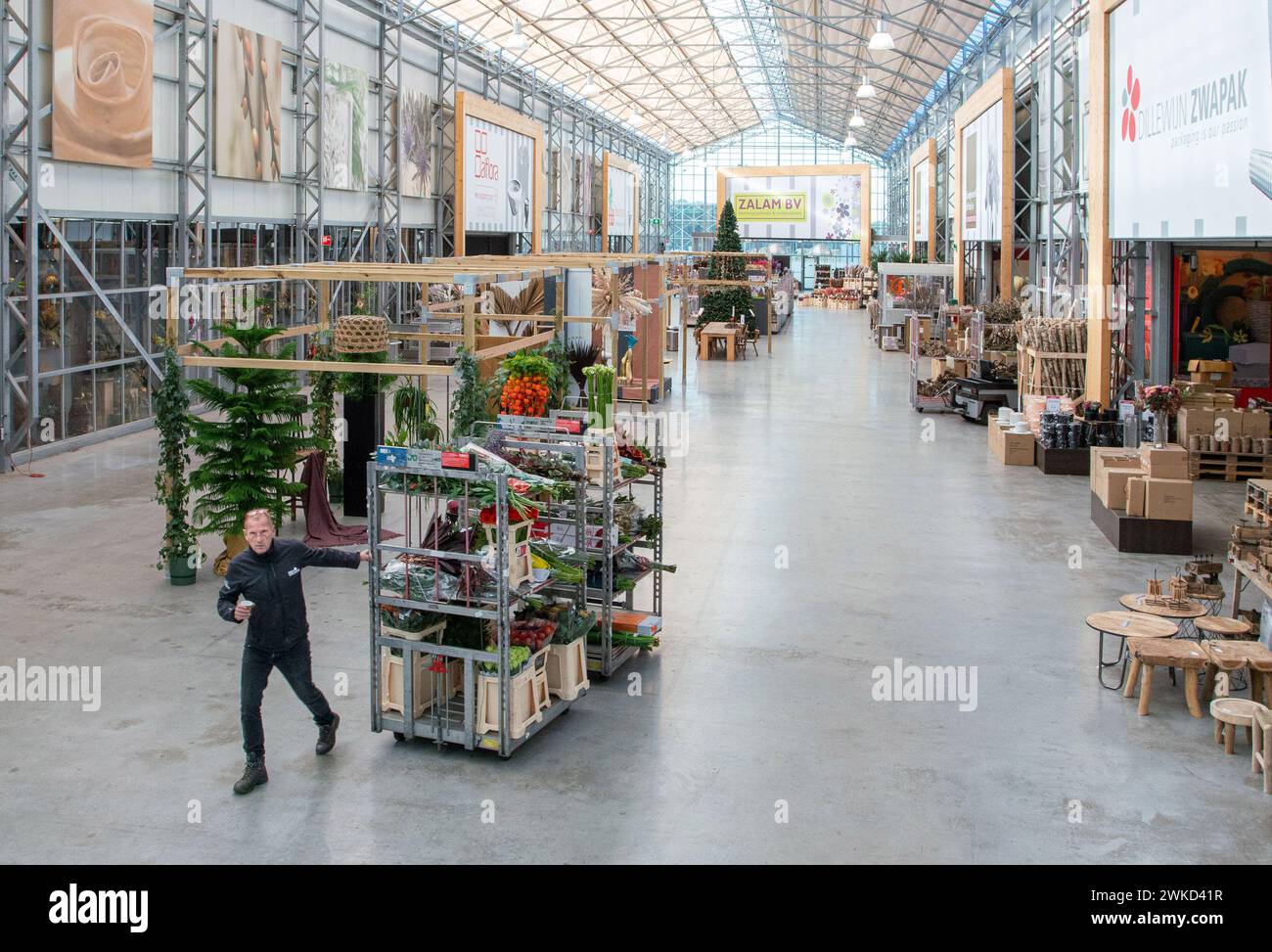 Flower auction Plantion in the East of the Netherlands where plants and ...