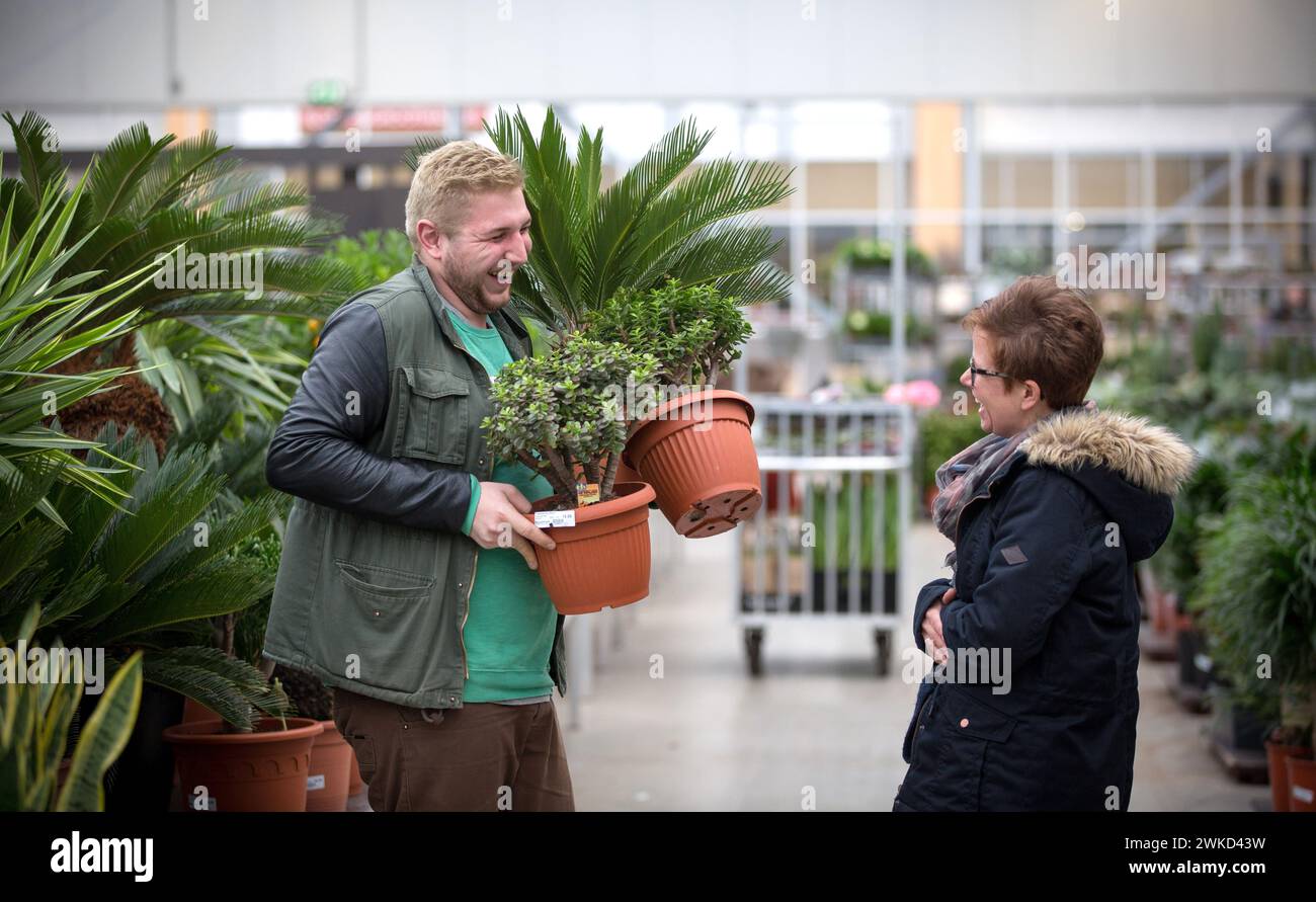 Flower auction Plantion in the East of the Netherlands where plants and ...