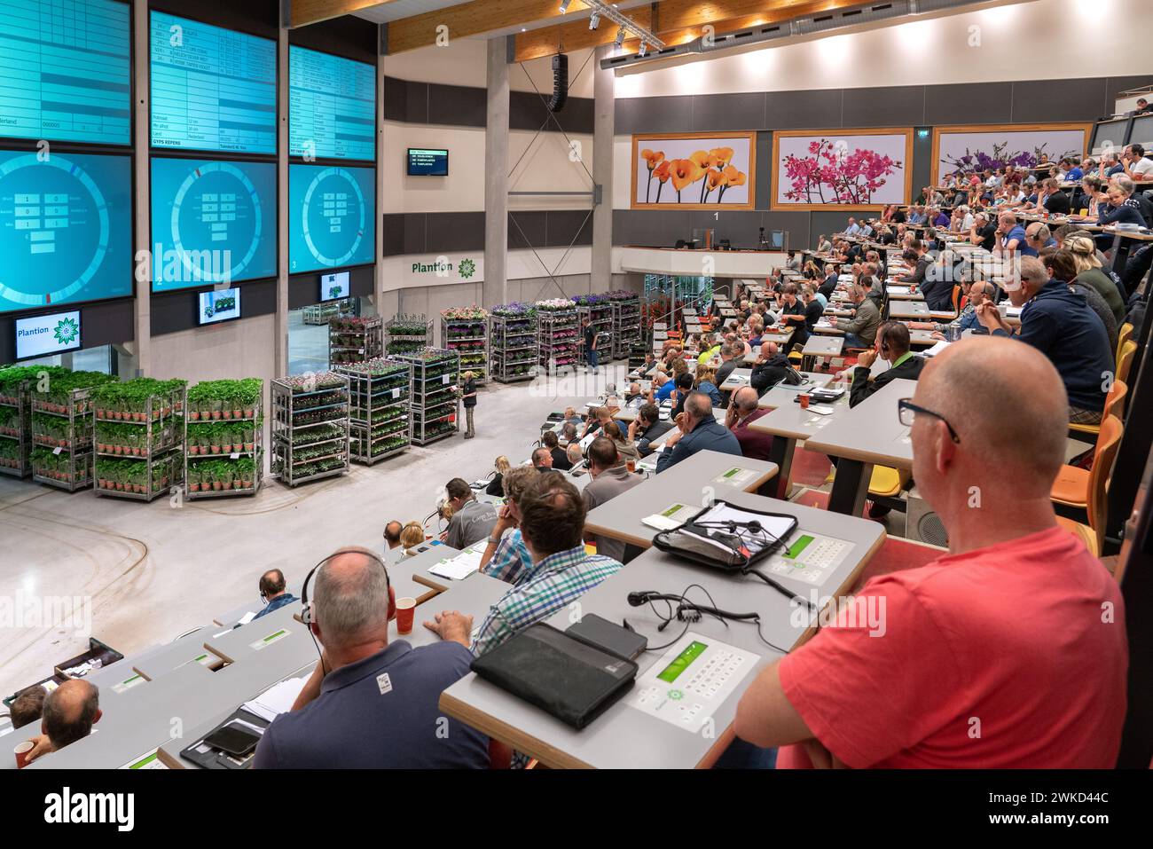Flower auction Plantion in the East of the Netherlands where plants and ...