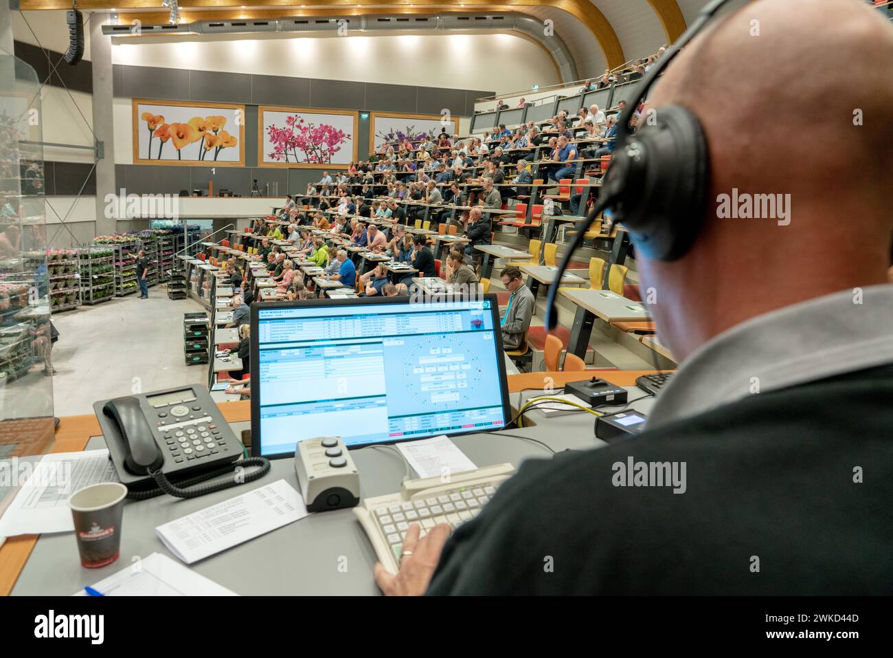Flower auction Plantion in the East of the Netherlands where plants and ...