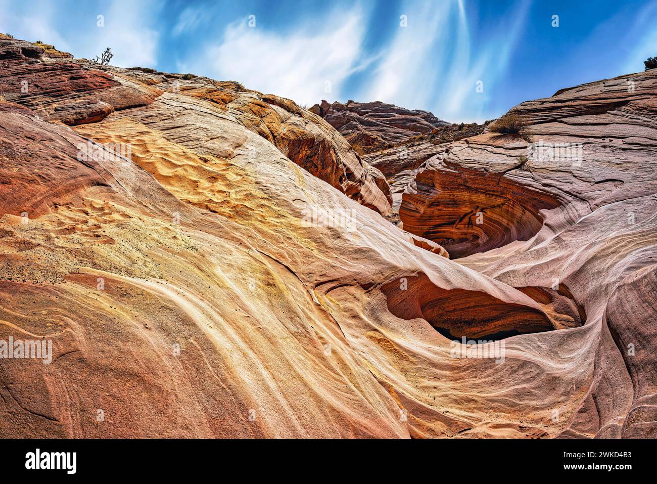 The unique rock formations in Pink Canyon, Vally of Fire State Park ...