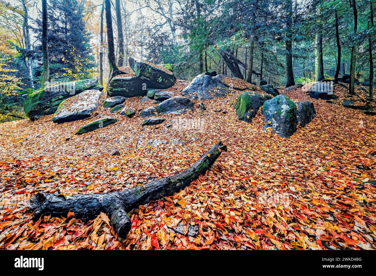 The ledges in autumn in Cuyahoga Valley National Park, Ohio Stock Photo ...