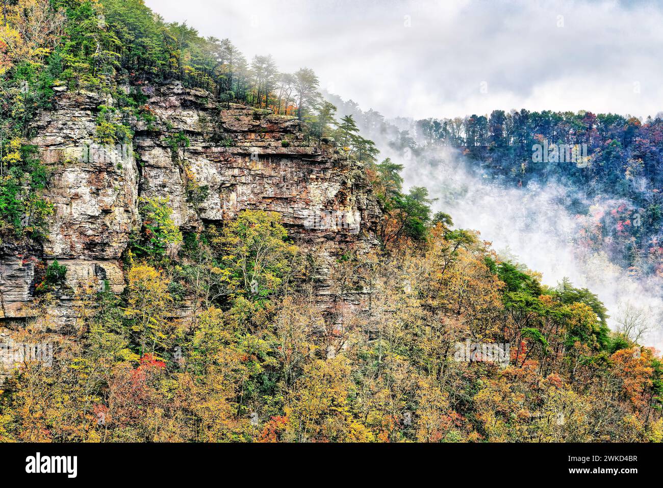 The cliffs with lush trees in autumn. Little River Canyon, Alabama ...