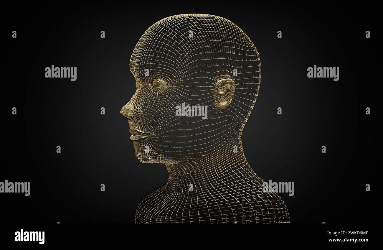 Human wireframe head hi-res stock photography and images - Alamy