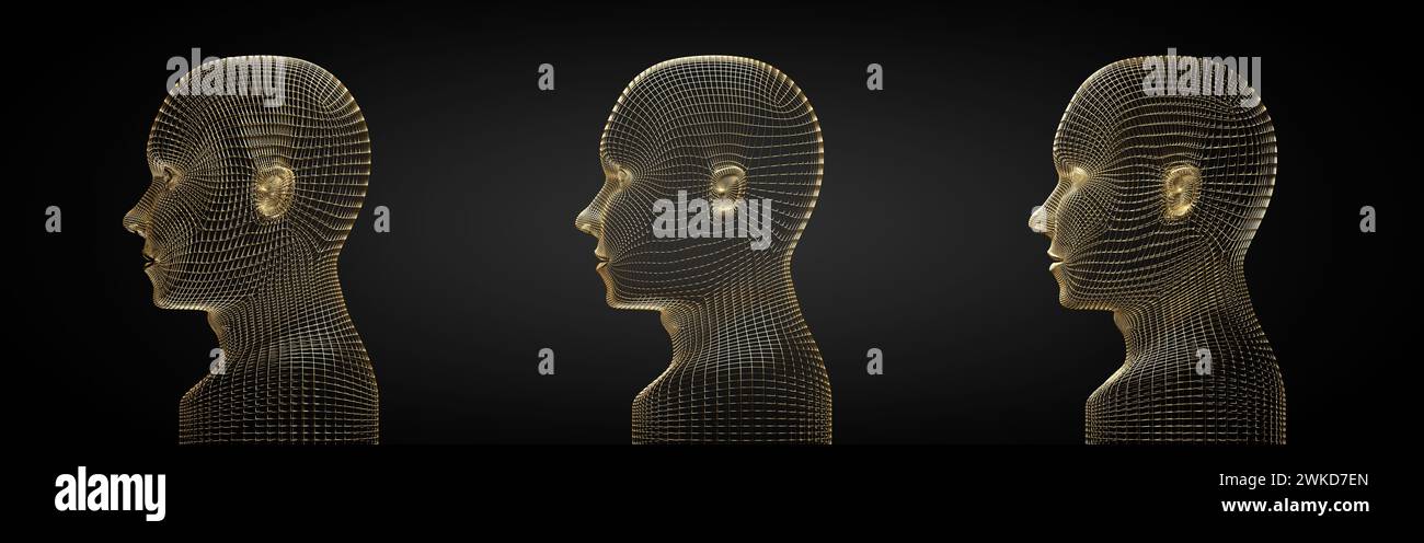 Three golden wireframe head shapes - 3D illustration Stock Photo - Alamy