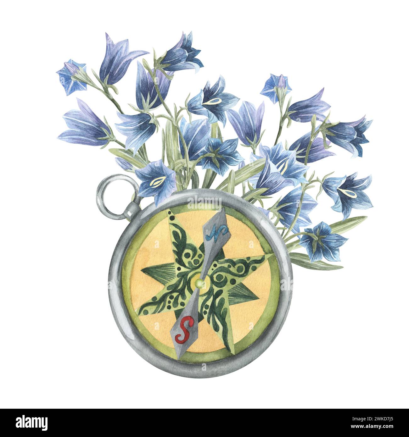 Vintage Compass with blue Flowers. Hand drawn watercolor illustration ...