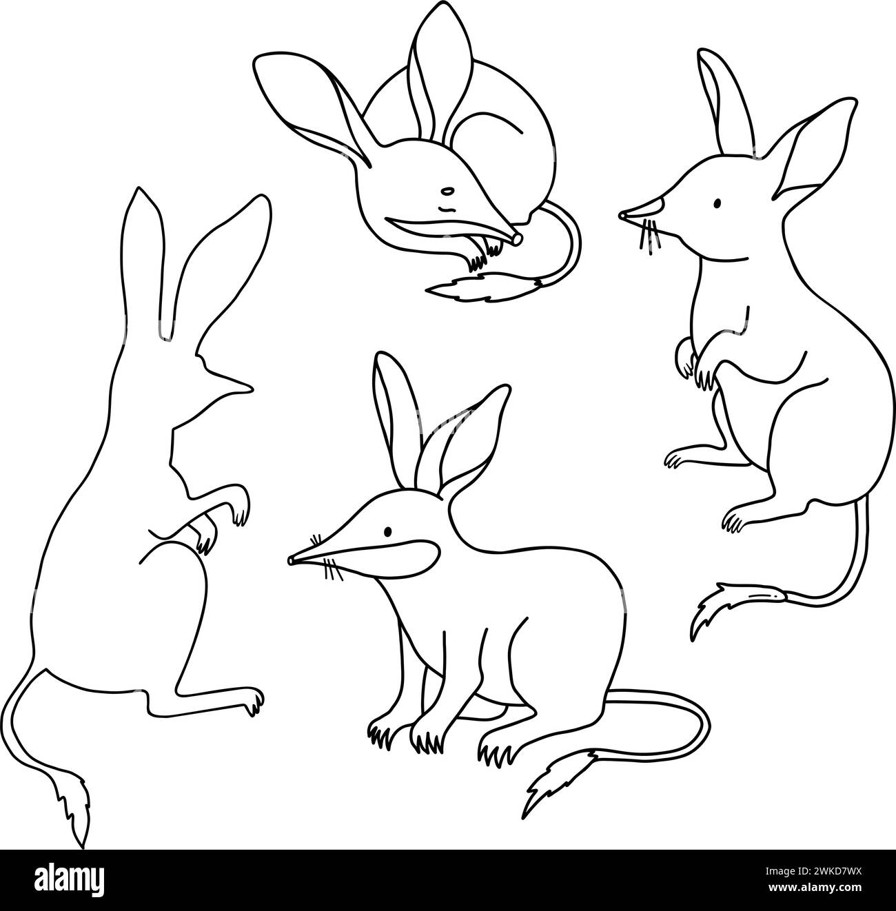 Collection Australian animal bilbies. Isolated Linear outline drawings ...