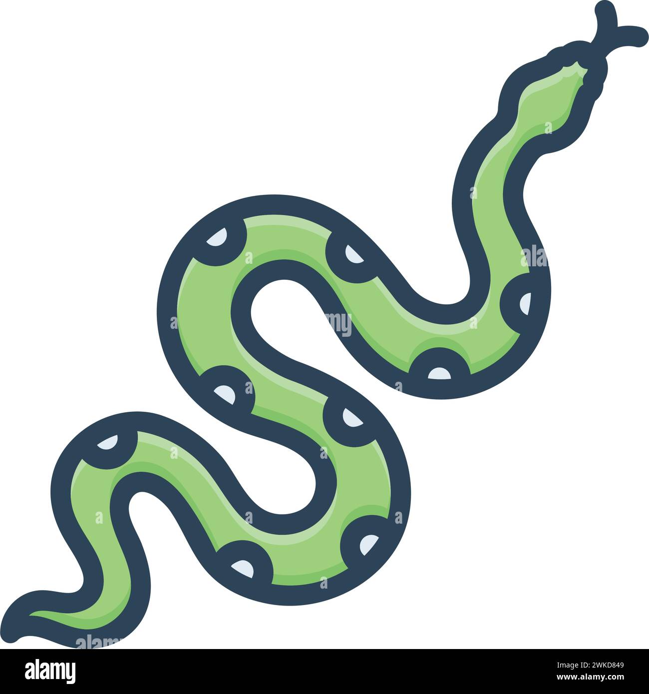 Snake viper amphibian animal Cut Out Stock Images & Pictures - Alamy