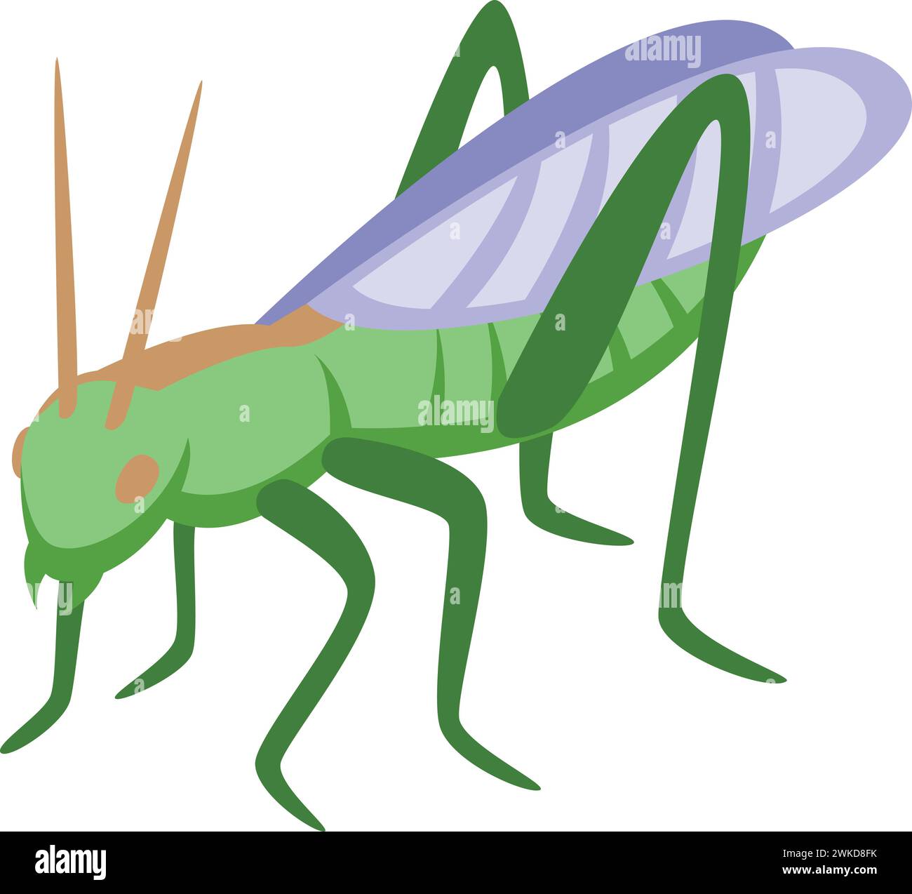 Locust face Cut Out Stock Images & Pictures - Alamy