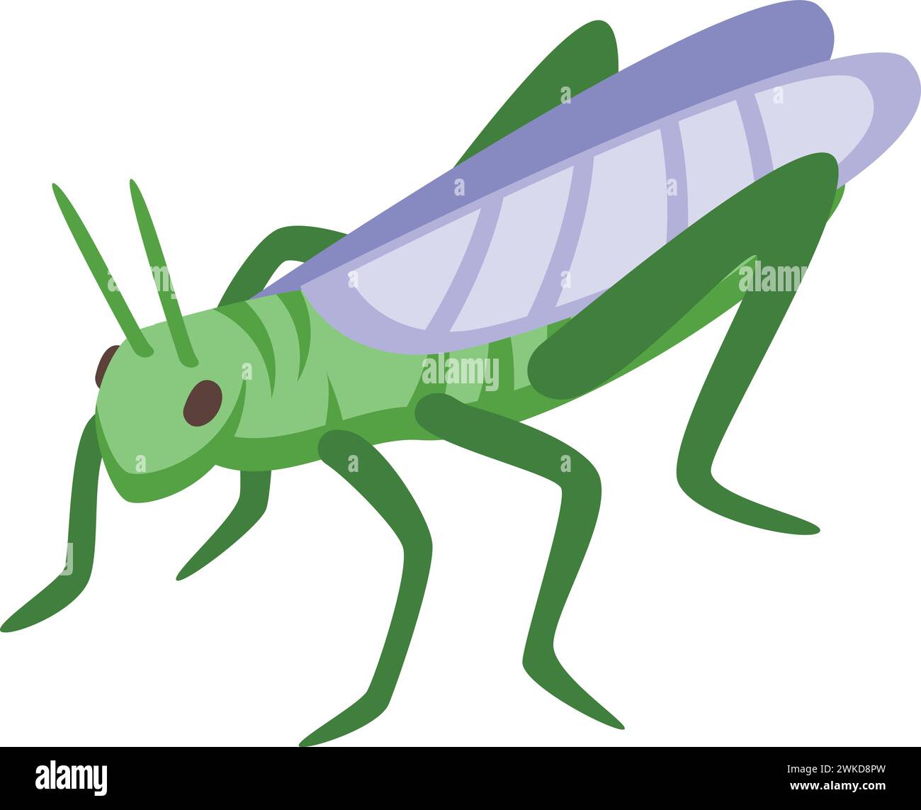 Green insect icon isometric vector. Happy insect fly. Smile pest fun ...