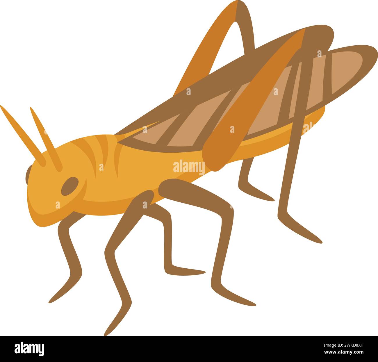 Insect ant icon isometric vector. Grasshopper bug. Small image fly ...