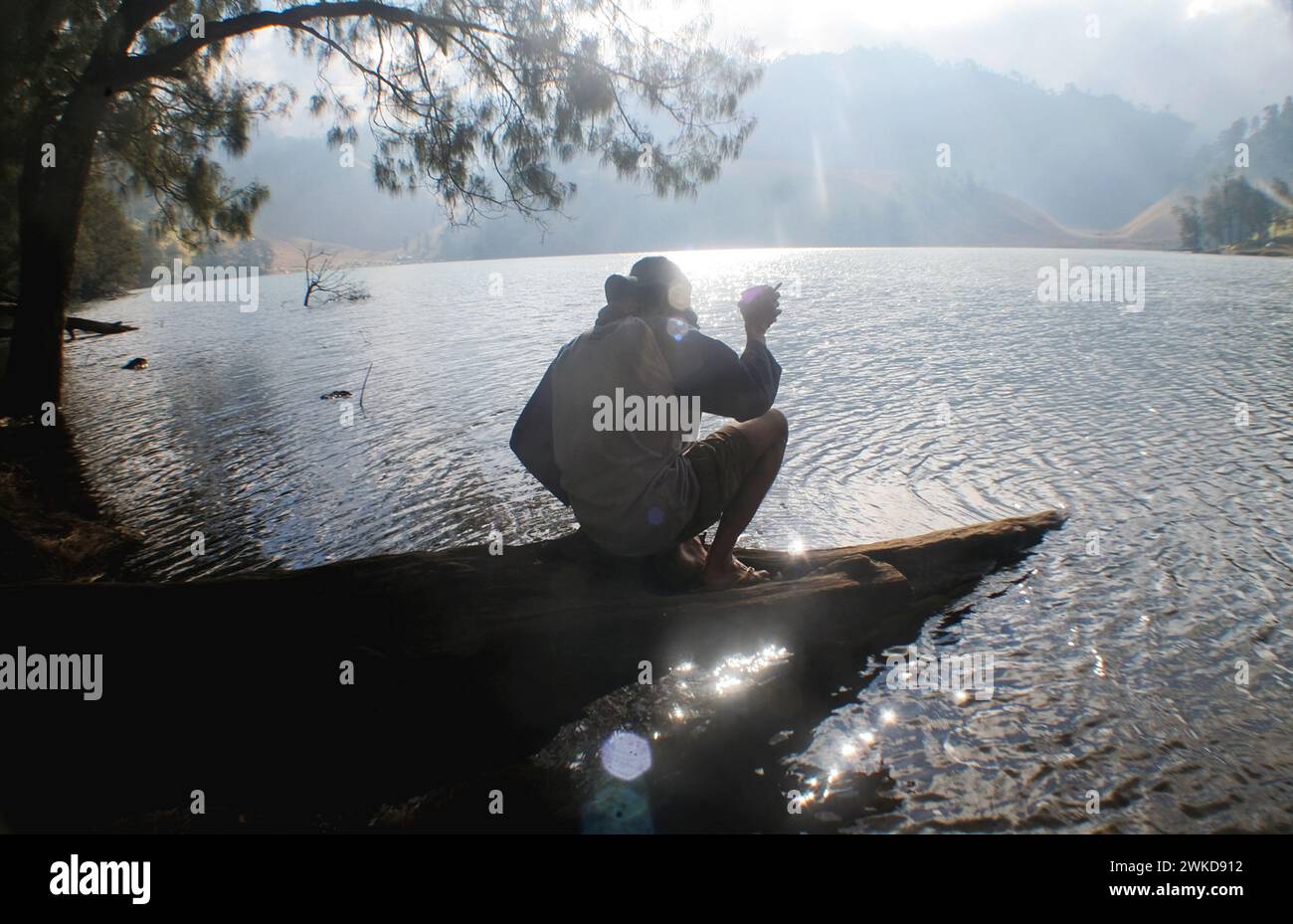 Rear view of young men sitting on fallen tree trunks on the shore of ...