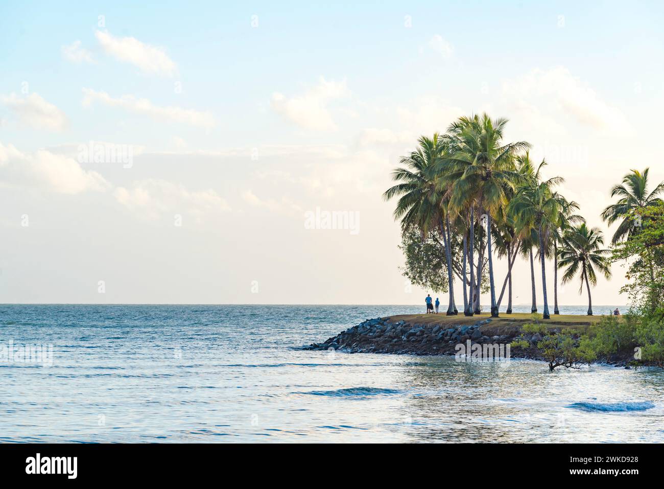 People walking along the palm tree lined waters edge at the entrance to ...