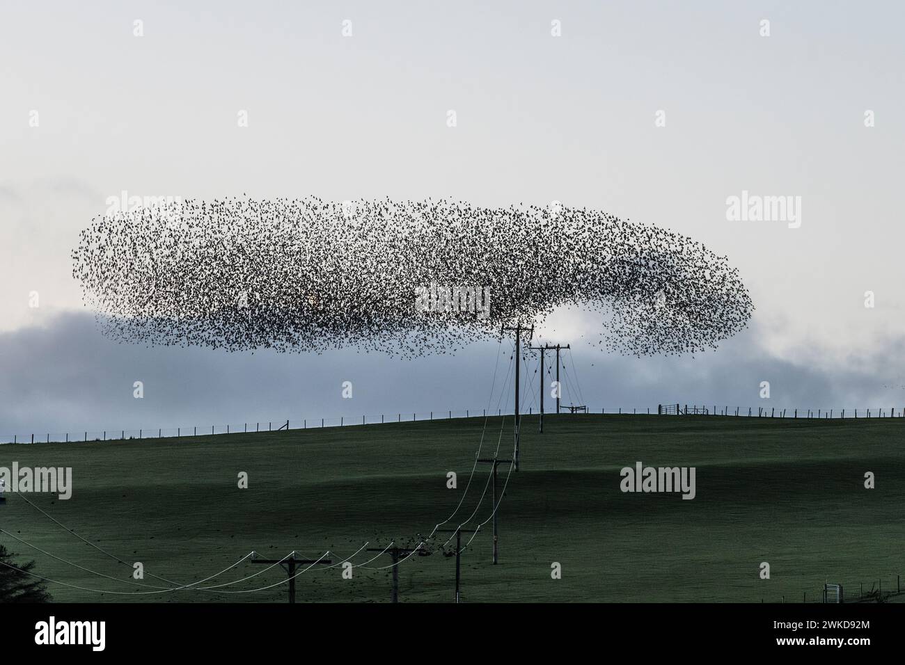 Llandegley rhos hi-res stock photography and images - Alamy