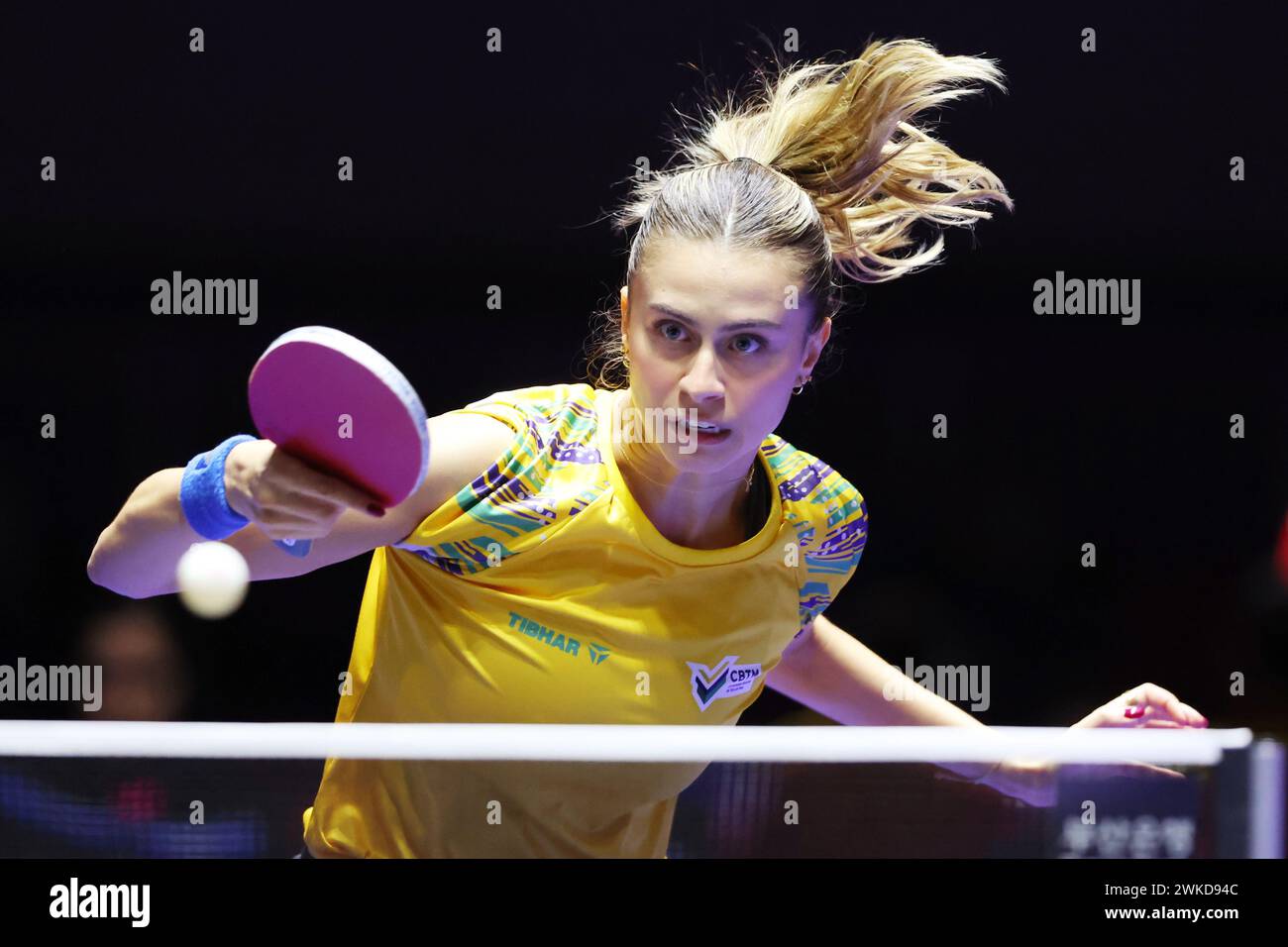 Bruna takahashi hi-res stock photography and images - Alamy