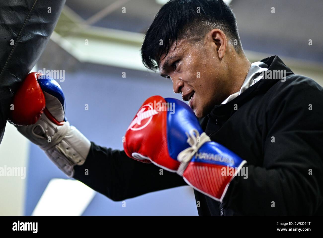 Tokyo, Japan. 20 Feb, 2024. Jerwin Ancajas of the Philippines during a public workout in Tokyo ...