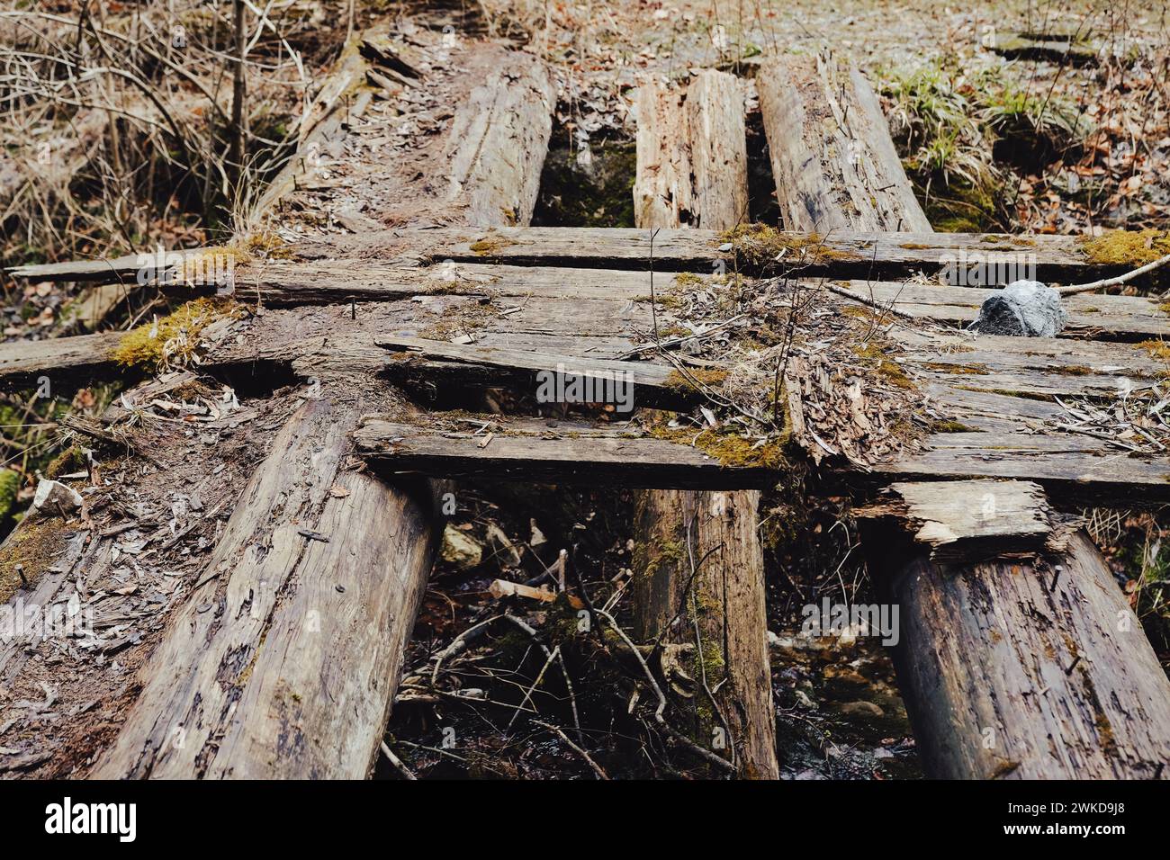 An aged wooden bridge spans a small river, obstructed by a fallen tree ...