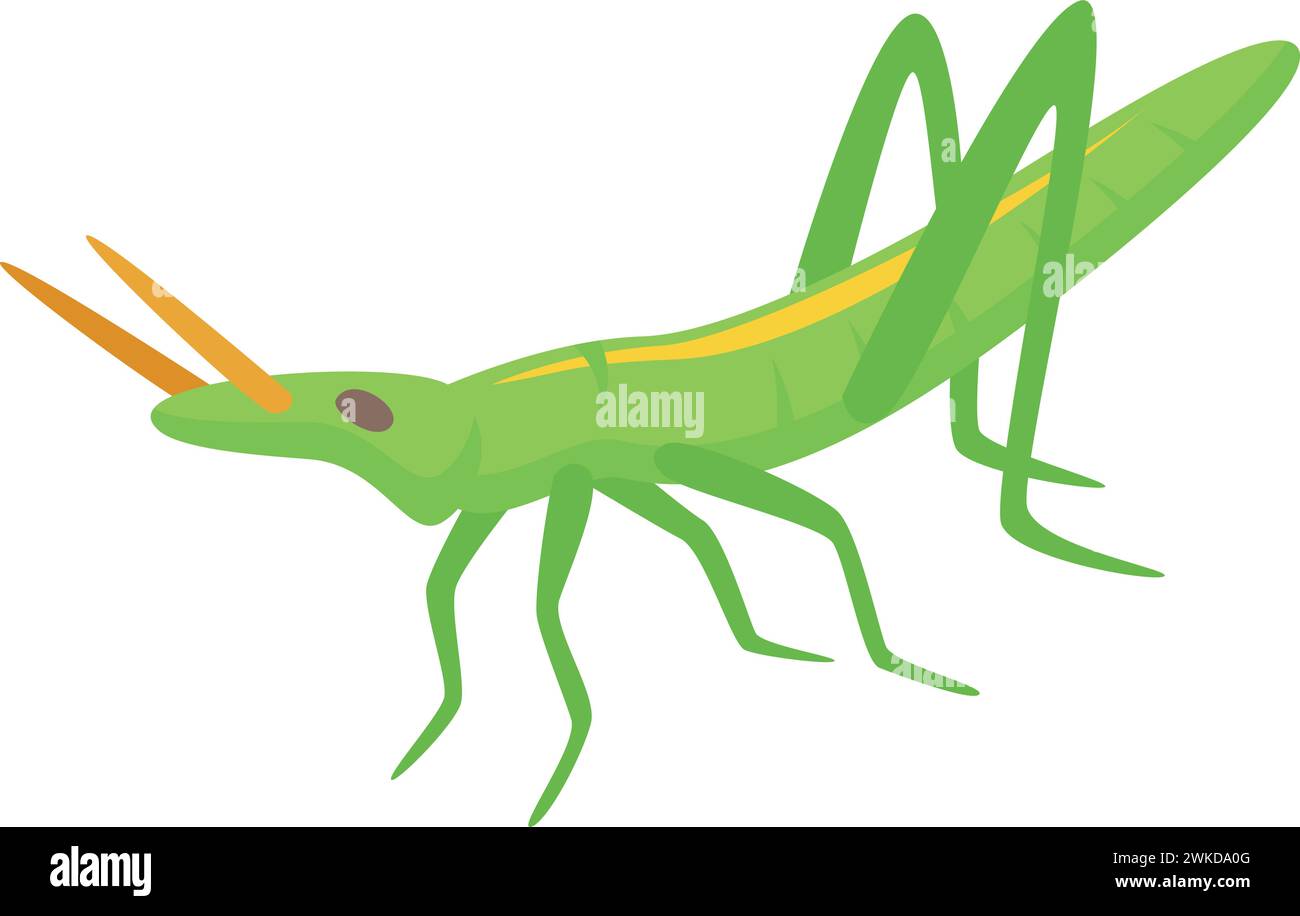 Locust face Cut Out Stock Images & Pictures - Alamy