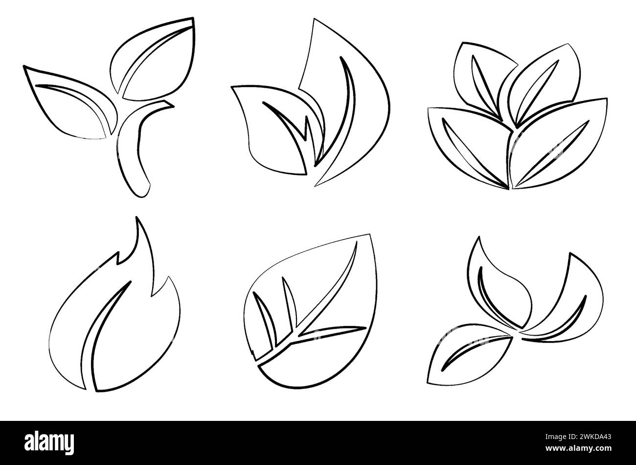Vector illustration featuring a collection of six different leaf ...