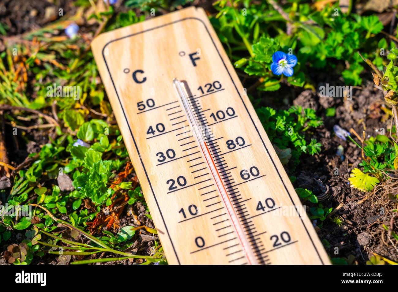 Rising temperatures thermometer hi-res stock photography and images - Alamy