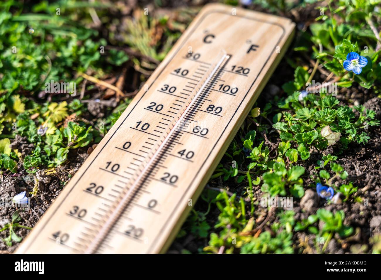 Rising temperatures thermometer hi-res stock photography and images - Alamy