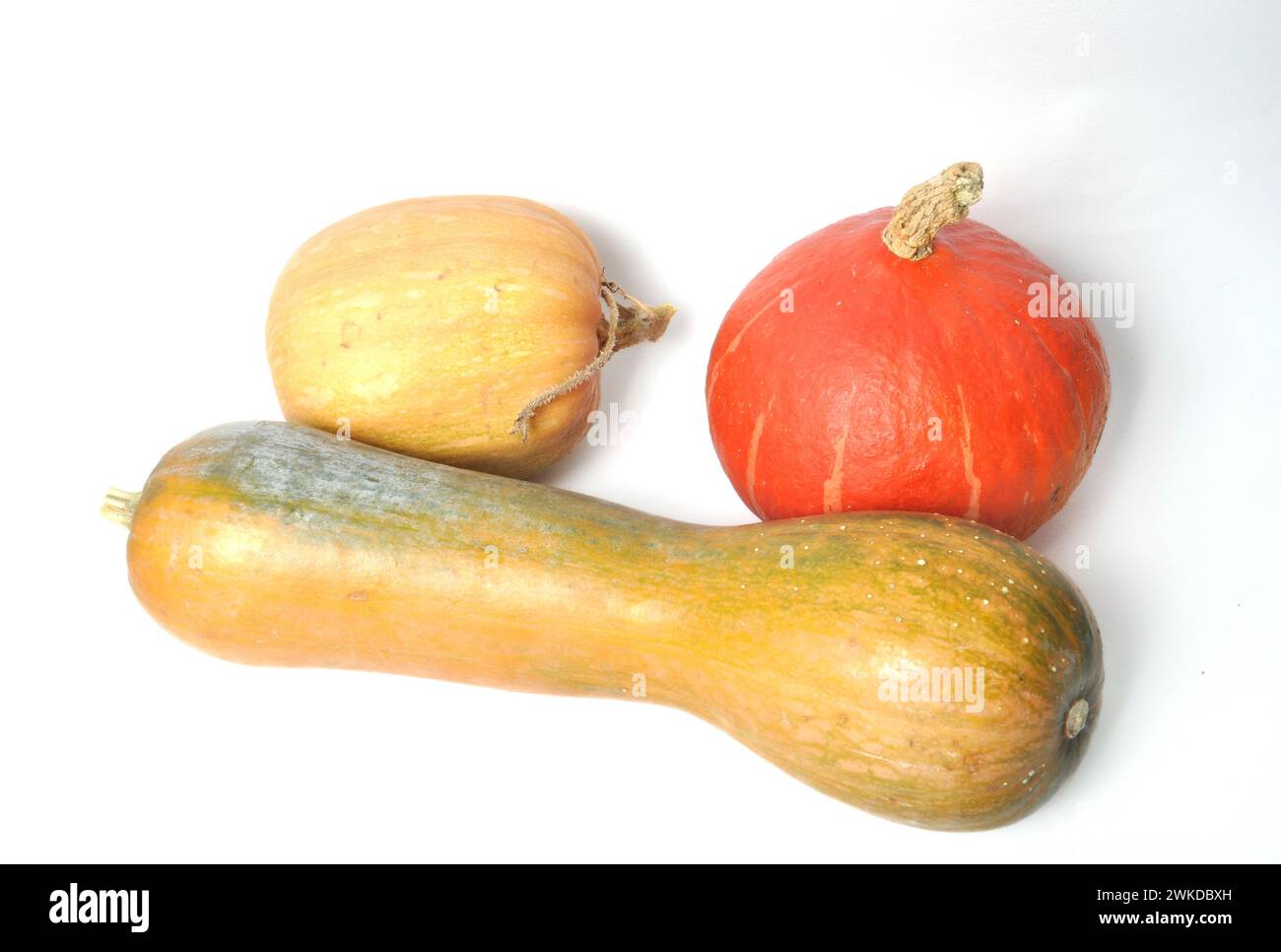Nice long squash hi-res stock photography and images - Alamy