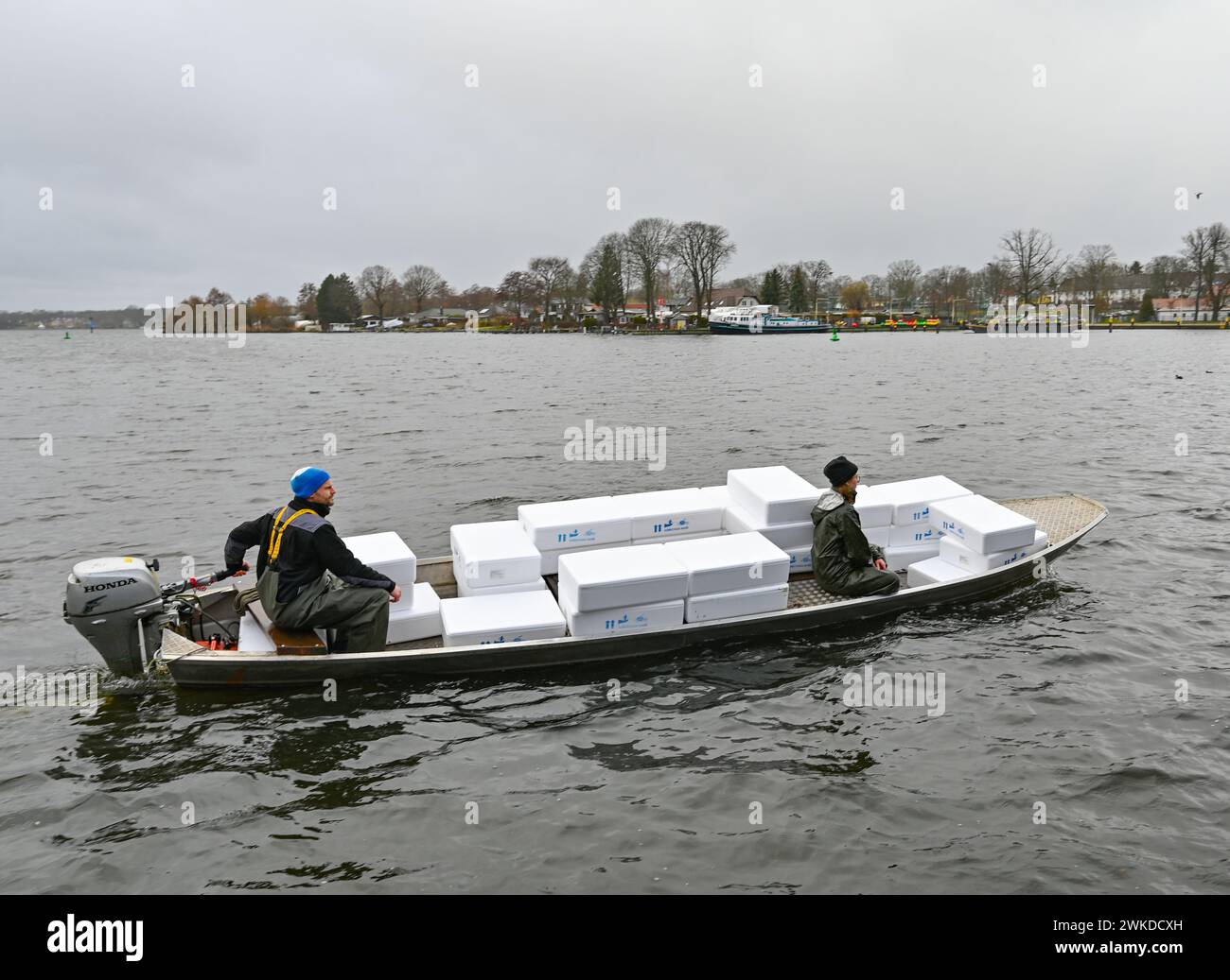 20 February 2024, Brandenburg, Erkner: Dennis Merkin, master fisherman ...