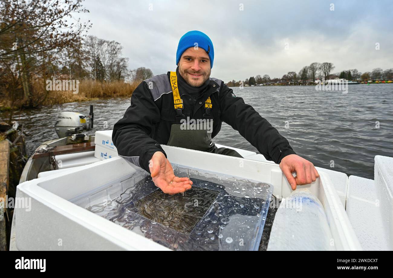20 February 2024, Brandenburg, Erkner: Dennis Merkin, master fisherman ...