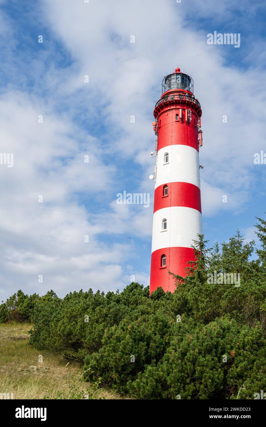 Der Rot-Weiße Leuchtturm von Amrum bei Wittün ist das Wahrzeichen der ...