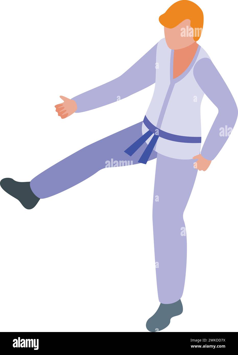 Leg kick aikido icon isometric vector. Traditional sport. Training ...