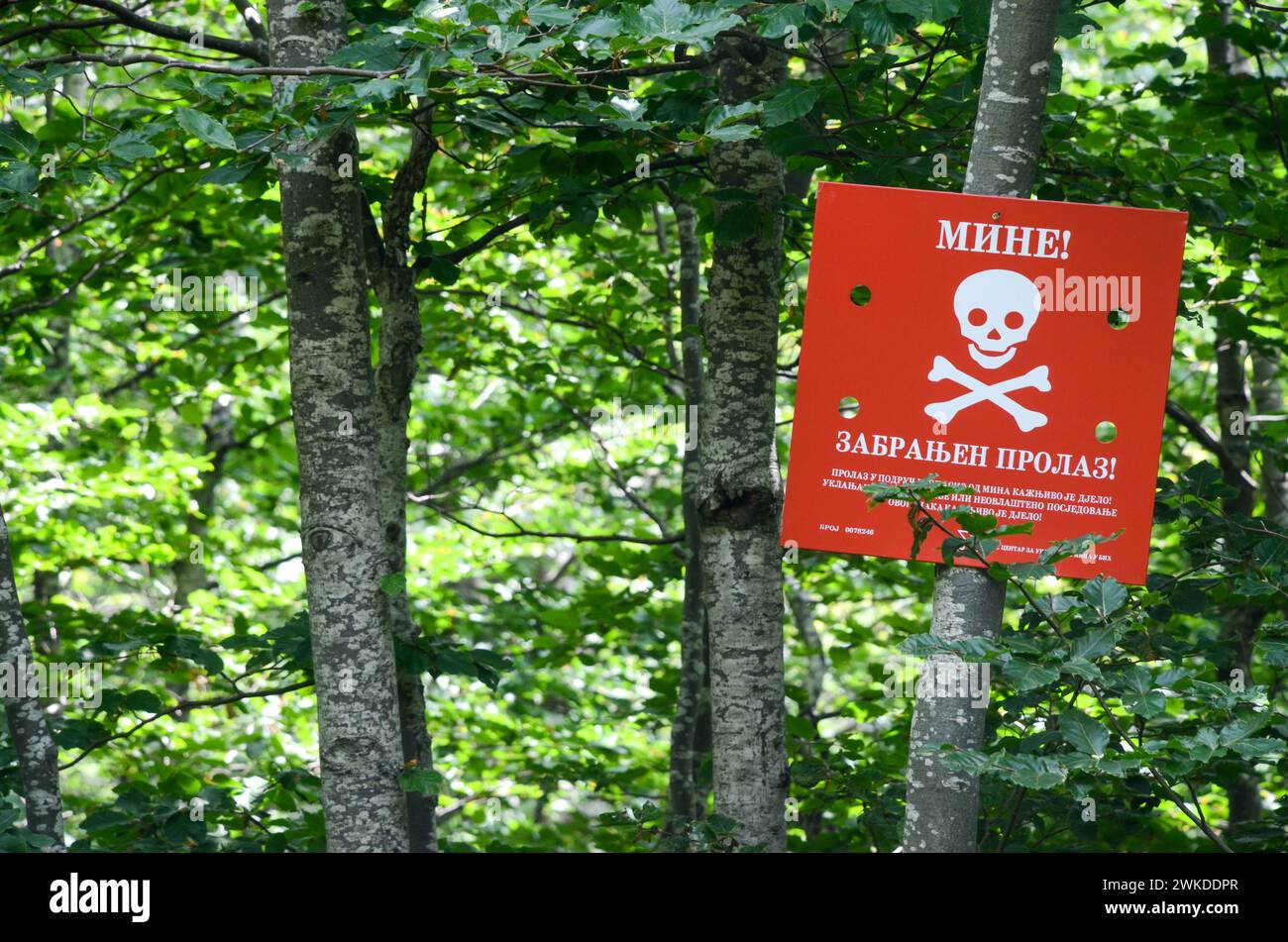 A minefield warning in the forest near the frontlines. Red minefield ...