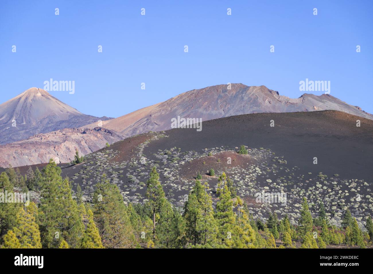 Exotic valley volcano teide hi-res stock photography and images - Alamy