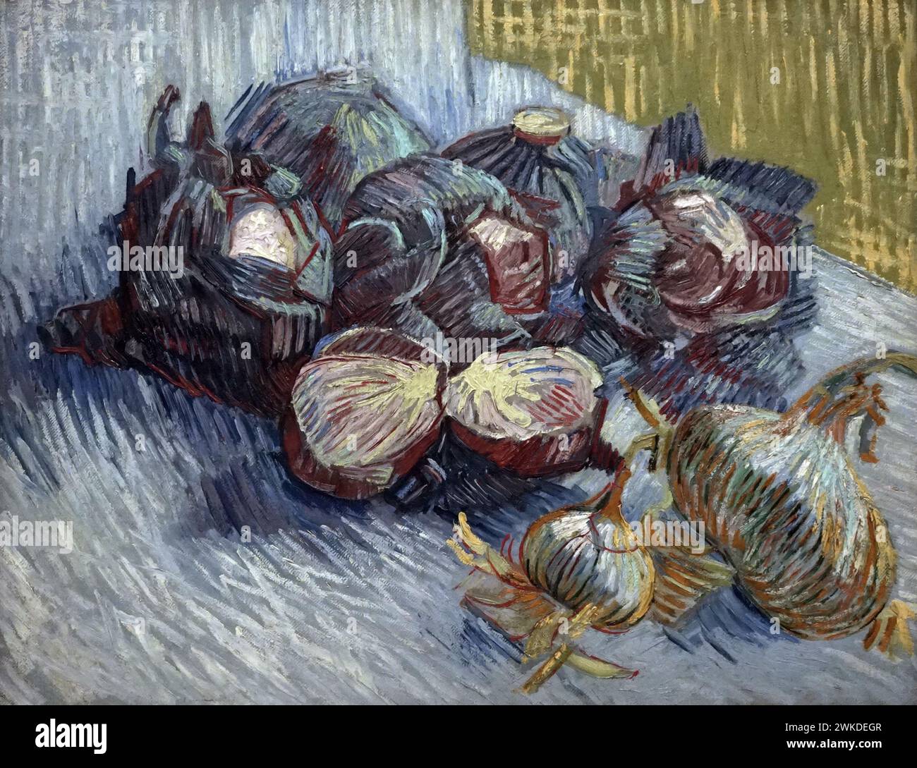 Red cabbages garlic van gogh hi-res stock photography and images - Alamy