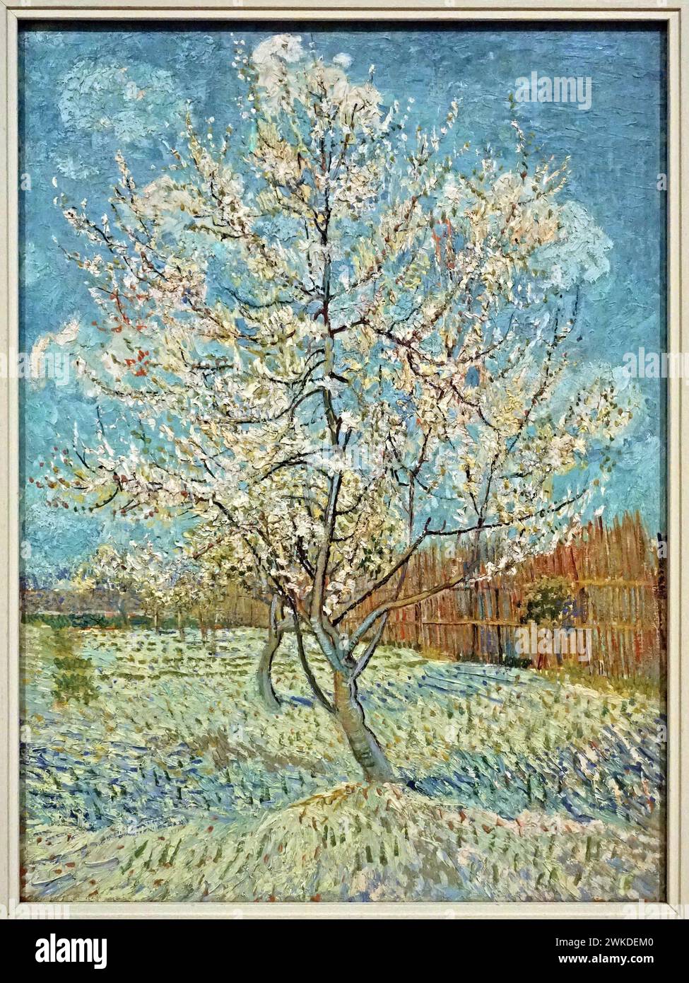 The Pink Peach Tree (1888) by Vincent van Gogh (1853-1890 Stock Photo ...