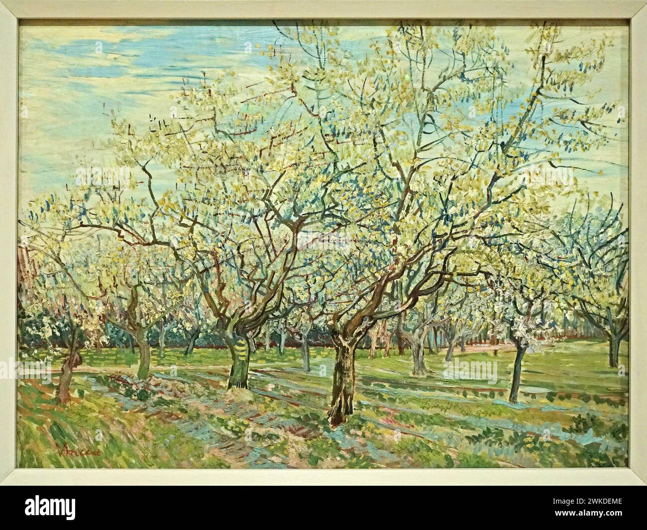 The White Orchard (1888) by Vincent van Gogh (1853-1890 Stock Photo - Alamy