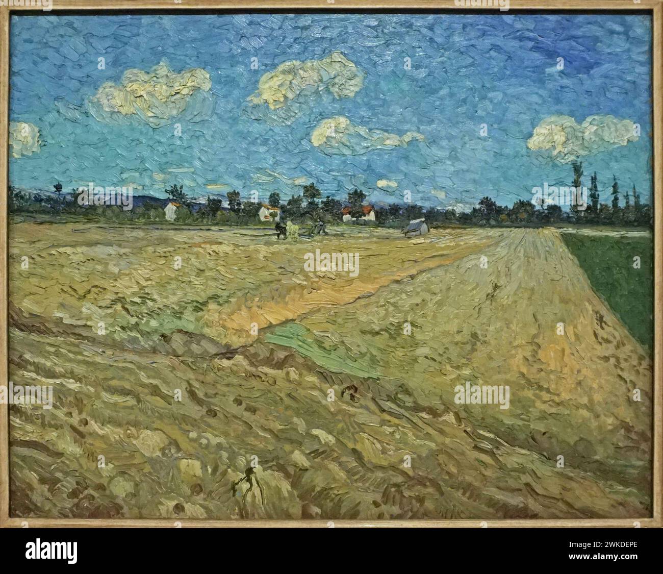 Ploughed Fields / The Furrows (1888) by Vincent van Gogh (1853-1890 ...