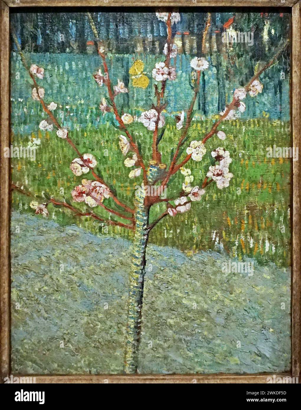 Peach tree in blossom van gogh hi-res stock photography and images - Alamy