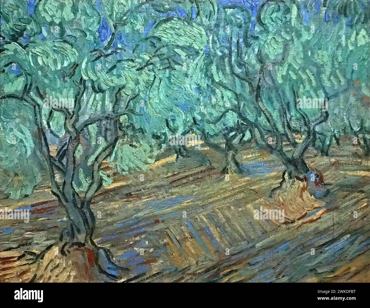 Olive grove vincent van gogh hi-res stock photography and images - Alamy