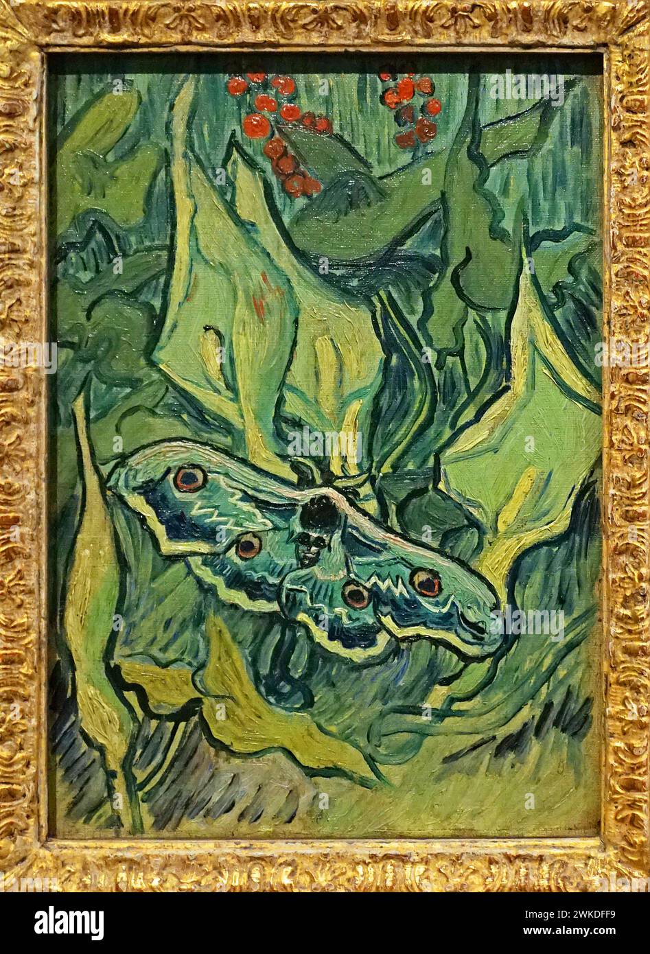 Giant Peacock Moth (1889) by Vincent van Gogh (1853-1890 Stock Photo ...